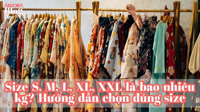 Size XS, S, M, L, XL, XXL là bao nhiêu kg? Hướng dẫn chọn đúng size ...